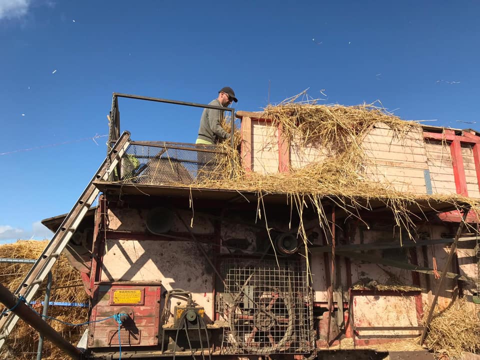 Reed Sales - Supplier of Combed Wheat Reed & Water Reed across UK.